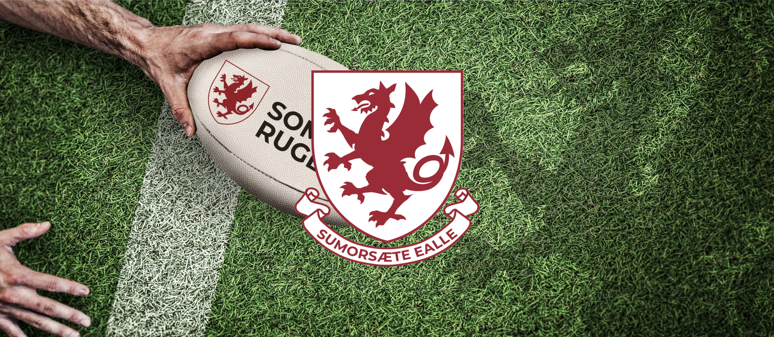 CELEBRATE RUGBY WORLD CUP 2025 WITH RUGBYFEST - Somerset Rugby
